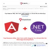 Top Reasons Why .Net Core with Angular is a Great Mix for Web App ...