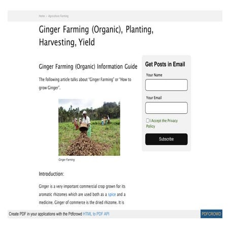 Www agrifarming in_ginger_farming | PPT