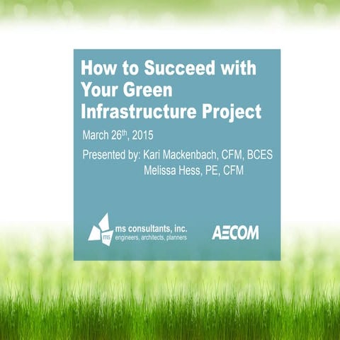 How to Suceed in Your Green Infrastructure Project | PDF