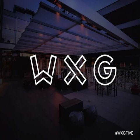 WXG Conference Video | PPT