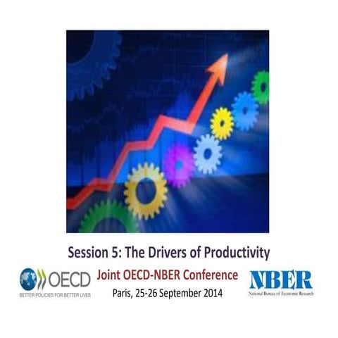 The Drivers of Productivity, Andrew Wyckoff | PDF