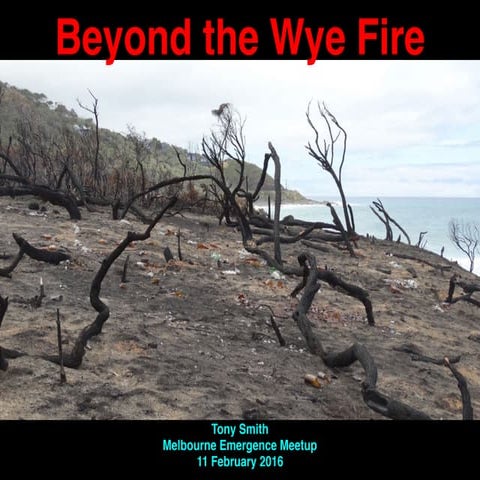 Wye Fire Disruption | PPT