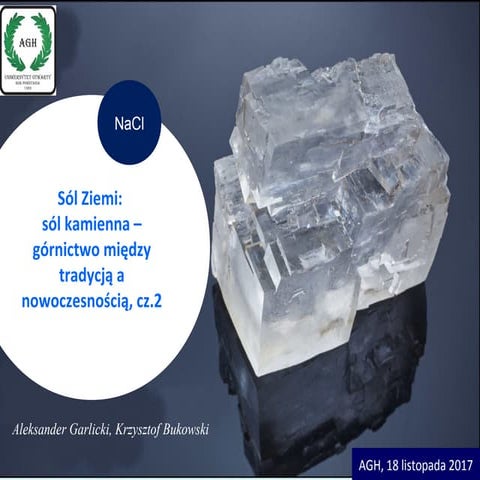 Sól Ziemi: sól kamienna – górnictwo między tradycją a nowoczesnością | PDF
