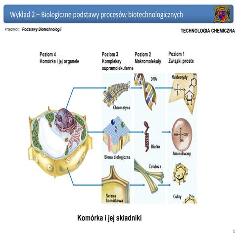Wyklad 2 | PDF | Endocrine and Metabolic Diseases | Diseases and Conditions