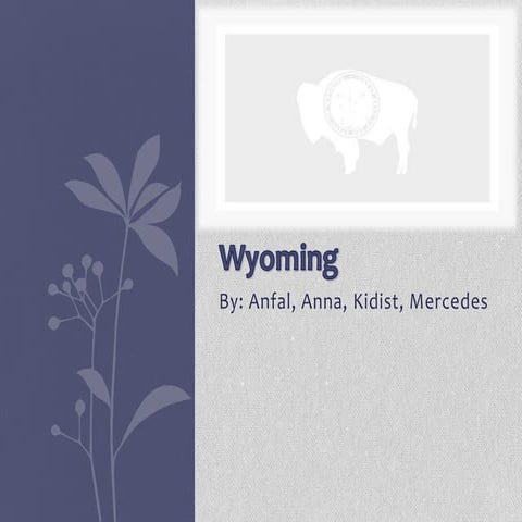 Wyoming project(1)(1) | PPTX