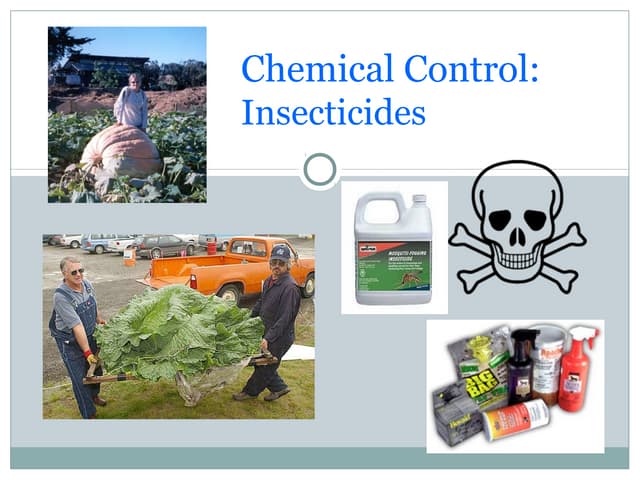 Insecticide definition ,types and classification . | PPTX