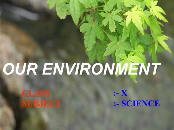 Our Environment Class - 10th | PPT