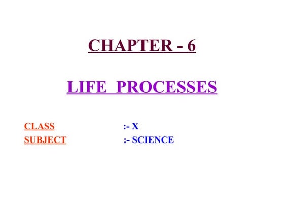 Nutrition in Plants | PPT