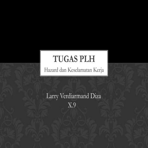 X.9 larry verdiarmand diza | PPTX