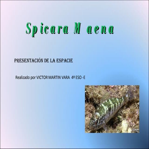 X U C L A Antic P W | PPT