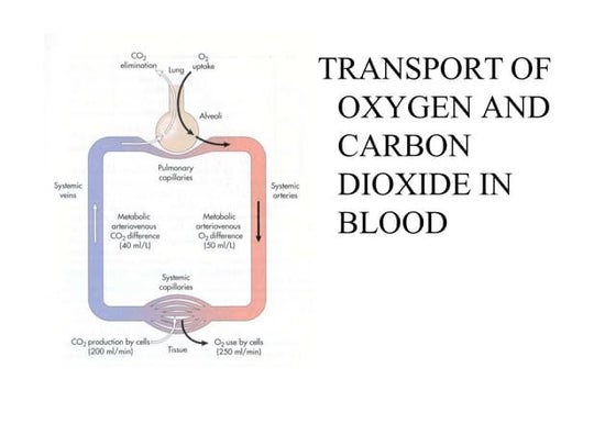 Transport of oxygen and carbon dioxide in blood | PPTX | Blood ...