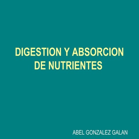 Digestion y absorcion de nutrientes | PPT