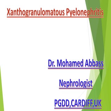 Xanthogranulomatous Pyelonephritis.pptx