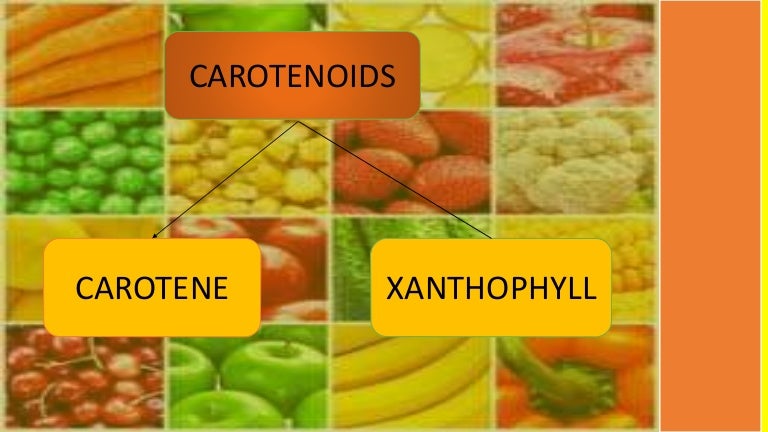 Xanthophyll ppt