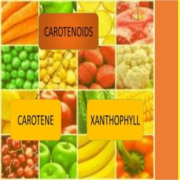 Xanthophyll ppt | PPTX