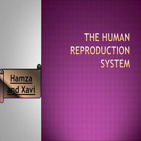 Human reproduction | PPTX