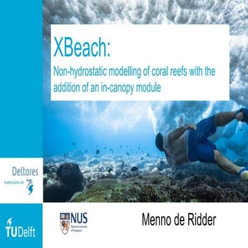 Dsd Int 2017 Non Hydrostatic Wave Modeling Of Coral Reefs With The Addition Of An In Canopy