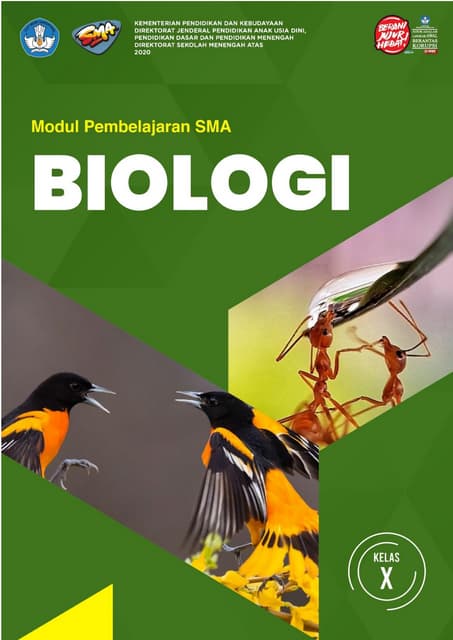 MODUL pembelajaran materi VIRUS kelas x sma.DOCX
