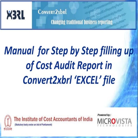 Xbrl manual-for-cost-audit-final | PDF