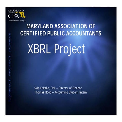 MACPA's XBRL Project | PDF | Business | Business and Finance