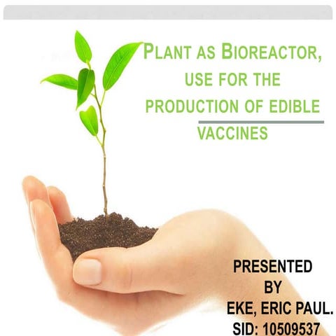 Use of Plants as Bioreactors for edible vaccine production | PPTX