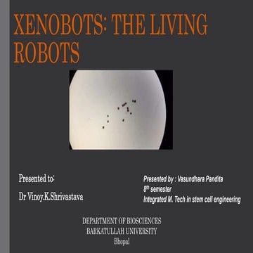 Xenobots | PPTX