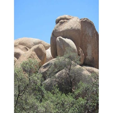 Xenolith Assignment Slides Ppt