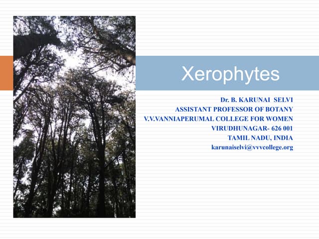 Caesalpinioideae | PPTX | Gardening | Home & Garden