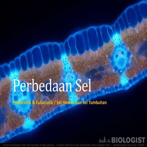 Materi_Sel (1).pptx lmfpkbsjdsdiowjsidhwh | PPTX