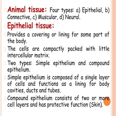 xi-7-structural-organisation-in-animals.ppt