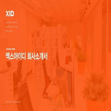 XID company brief | PPT