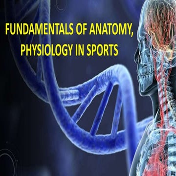XI Fundamentals of Anatomy, Physiology in Sports.pptx