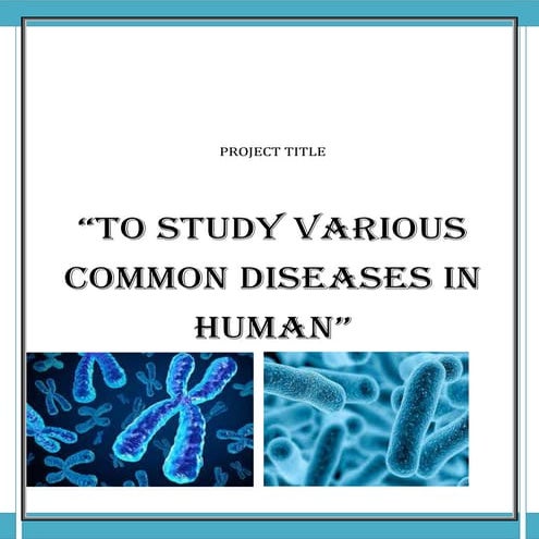 Project Report on AIDS. Class 12 CBSE Science (Biology) project. | PDF