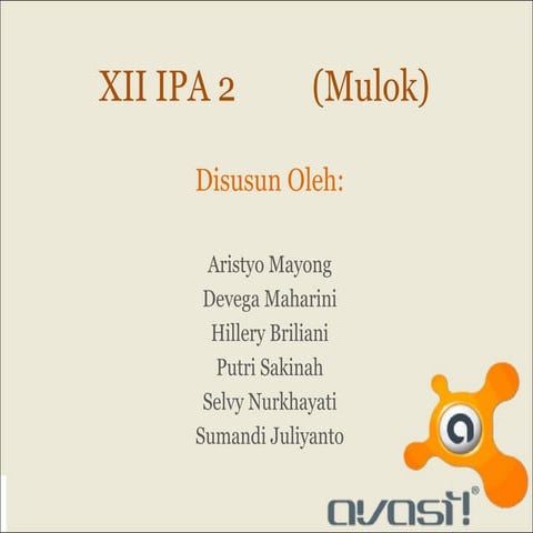 AVAST Antivirus XII IPA 2 | PPT