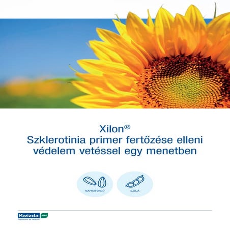 Xilon leaflet a4 06 web | PDF