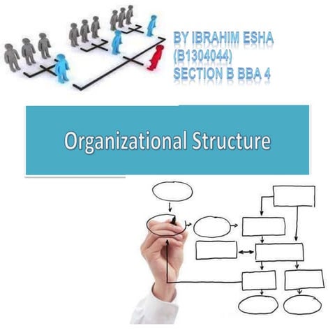 Organizational structure ppt | PPTX
