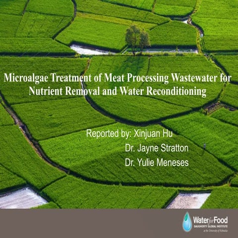 Microalgae Treatment of Meat Processing Wastewater for Nutrient Removal ...