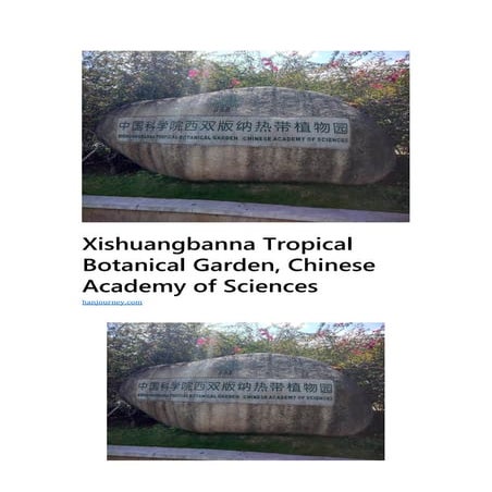Xishuangbanna tropical botanical garden, chinese academy of sciences | PDF