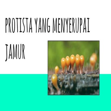 Xmia2 jamur lendir | PPTX