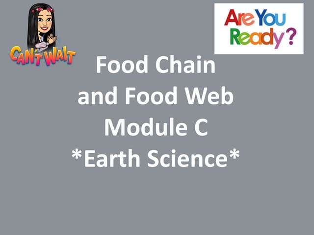 Introduction to Food Chains | PPT