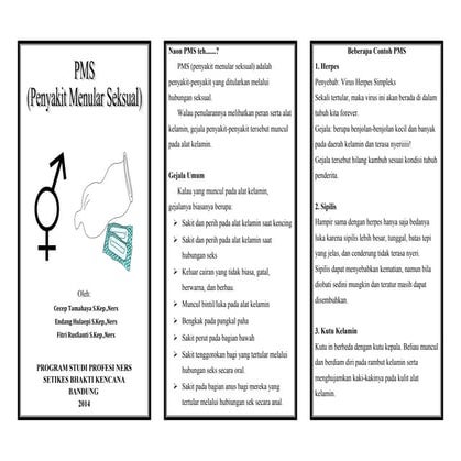 Leaflet pms | PPT