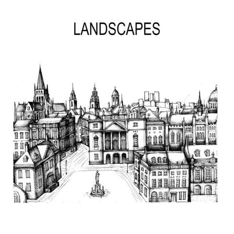 landscape-in-primary-5