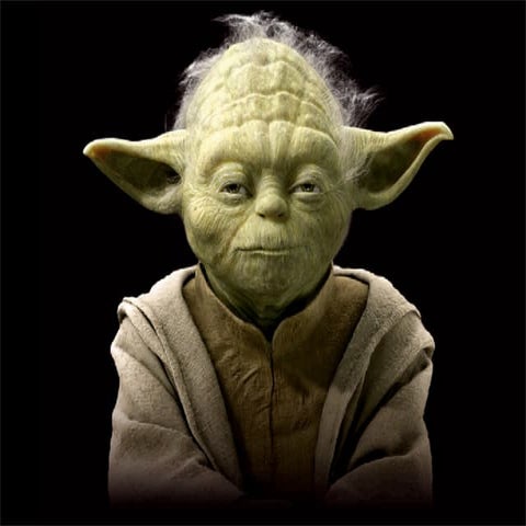 Learn different leadership styles with Star Wars Coaches | PDF