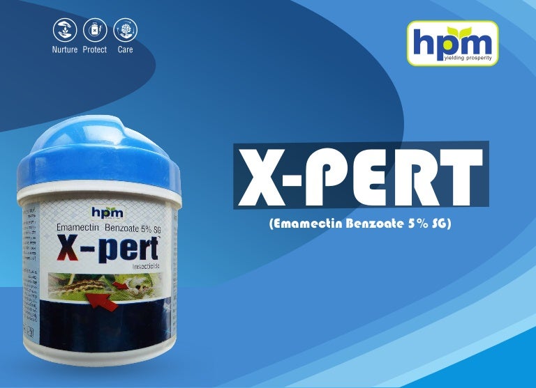 Xpert