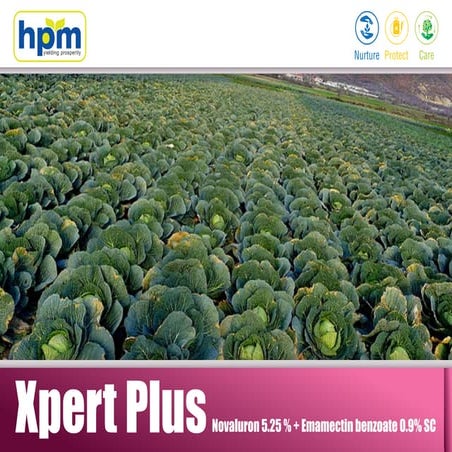 Xpert plus | PDF