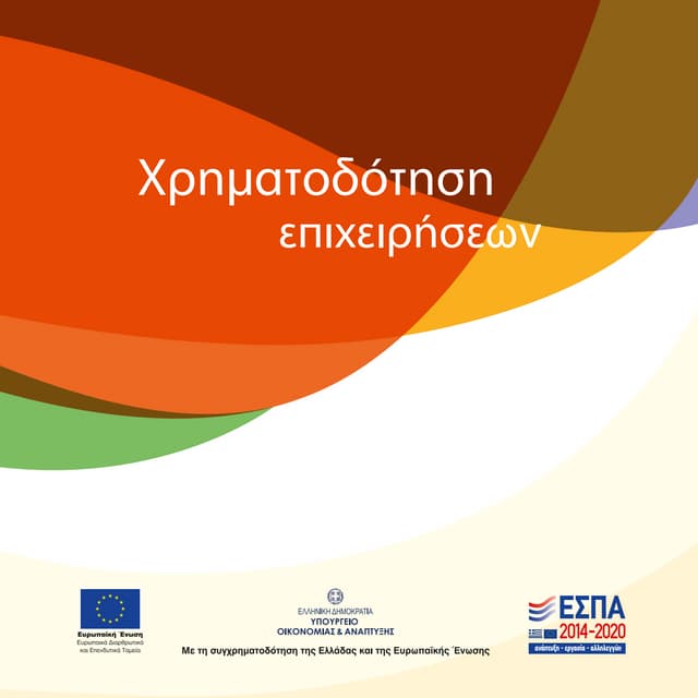 Χρηματοδότηση Επιχειρήσεων | PDF
