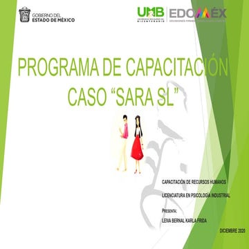 Programa de Capacitacion | PDF