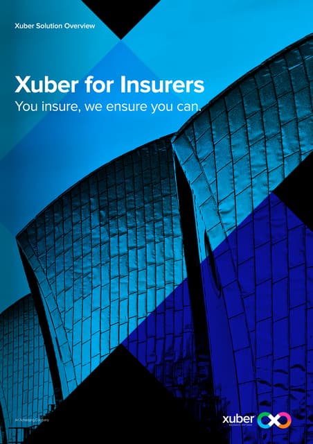 Iris - Xuber Product Fact Sheet | PDF | Business Banking & Finance ...