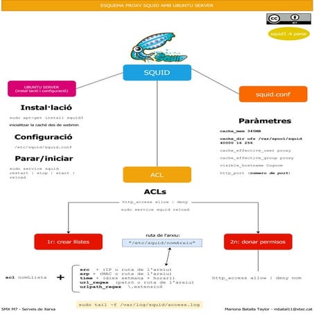 Xuleta Proxy Squid | PDF
