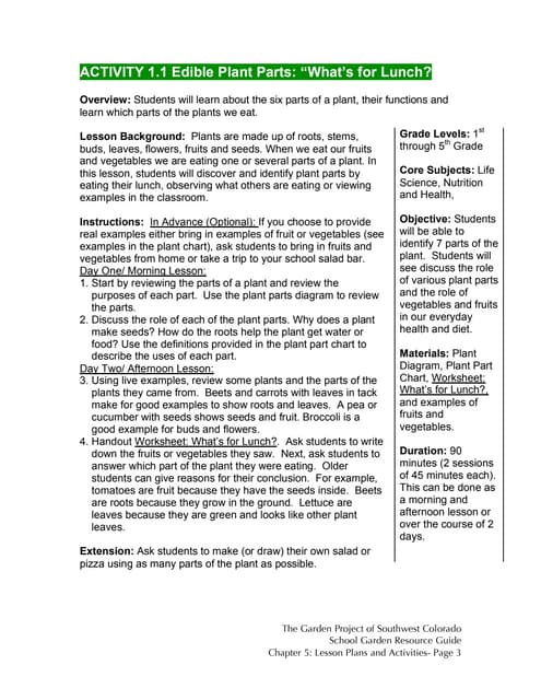 Lesson Plan IN SCIENCE 4 | DOCX